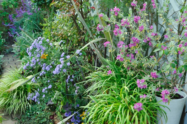 After Gardening - from the garden of J.Aoki